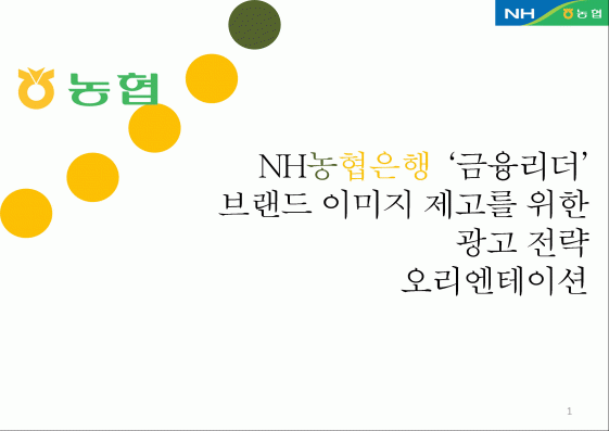 NH농협은행  ‘금융리더’ 브랜드 이미지 제고를 위한  광고 전략  오리엔테이션