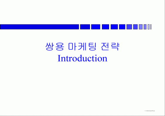 쌍용마케팅 전략