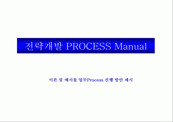 전략개발 Process 매뉴얼