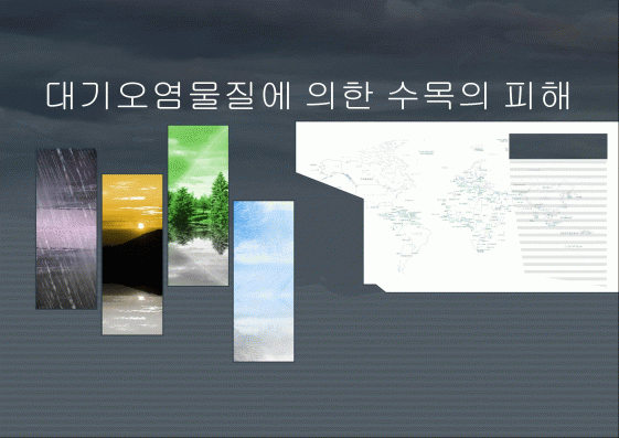 대기오염물질에 의한 수목의 피해