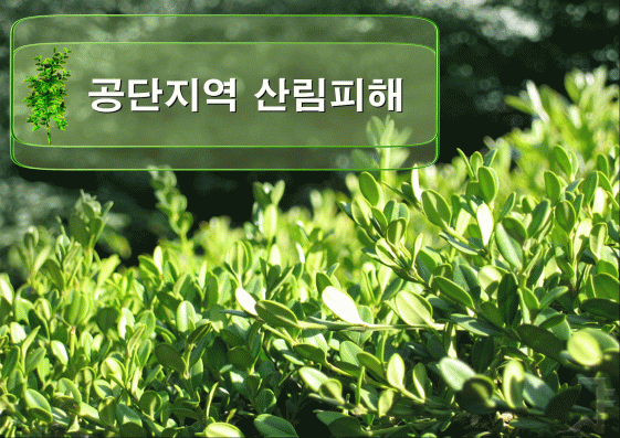 공단지역 산림피해