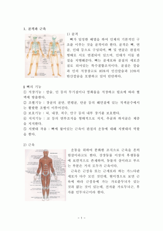 초등과학교육-인체기관