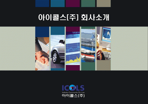 IT Outsourcing, 시스템통합(SI),컨설팅, 솔루션 - 이이콜스