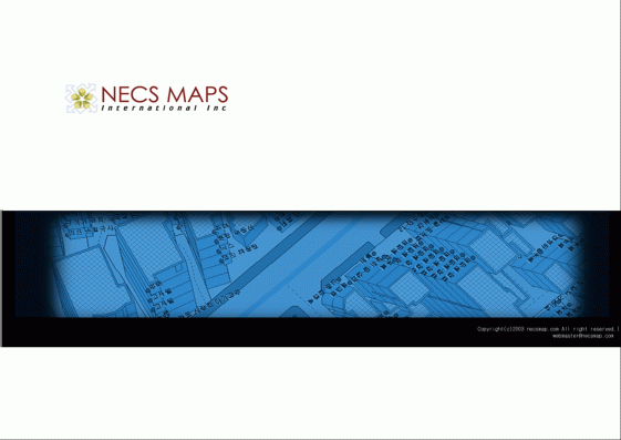NecsMap GIS Service