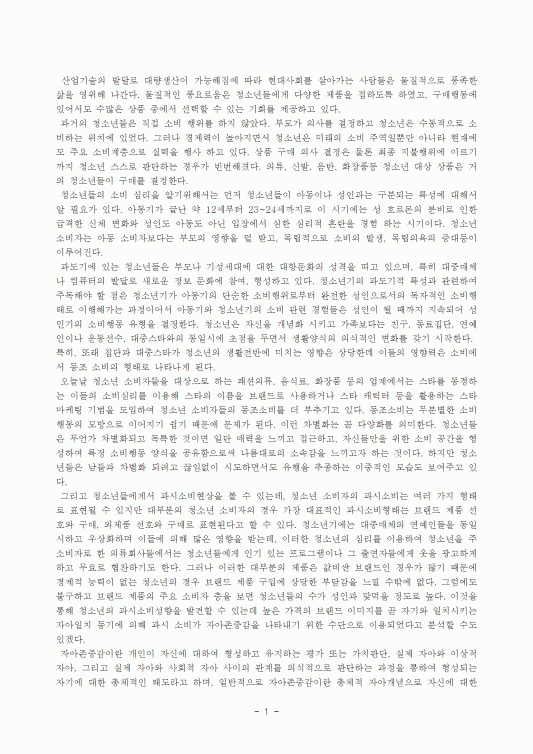 청소년소비문화