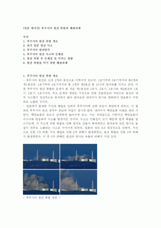 (일본 대지진) 후쿠시마 원전 폭발과 해결과제