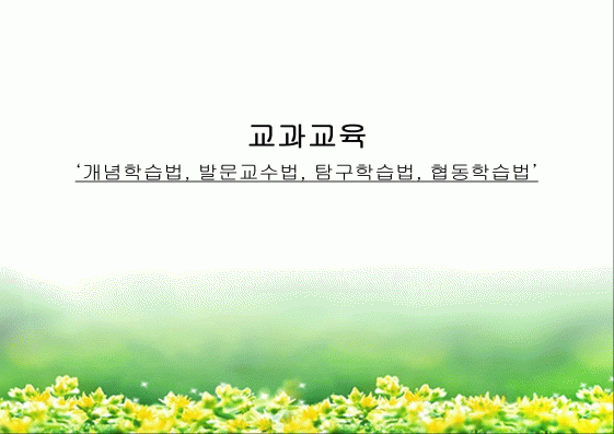 교과교육(개념학습법등)