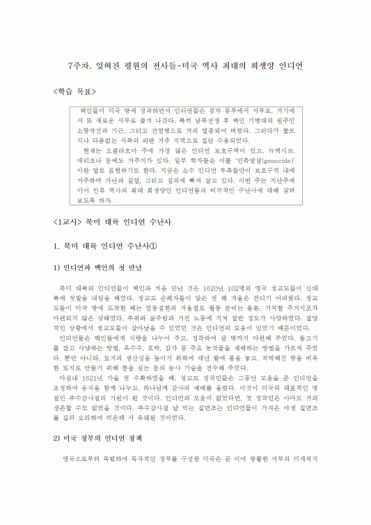 잊혀진 평원의 전사들-미국 역사 최대의 희생양 인디언