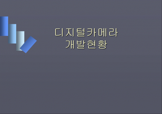 디지털카메라 개발현황
