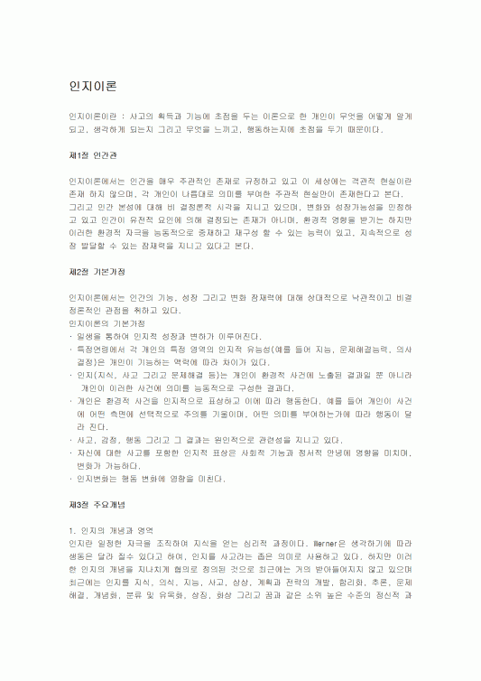 인지이론 요약