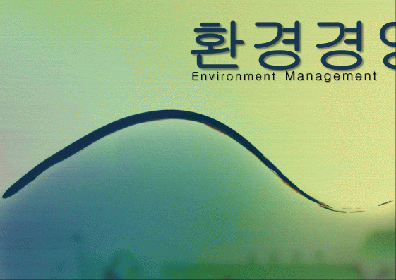 국내와 해외의 환경경영