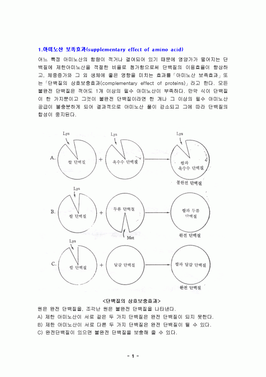 단백질에관하여