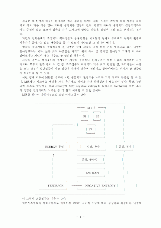 MIS에대해 레포트 자료