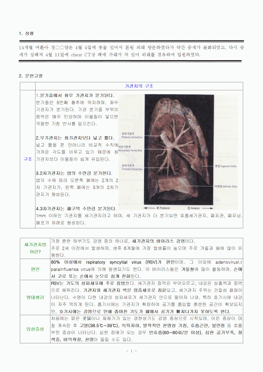 소아과) 기관지염 case study