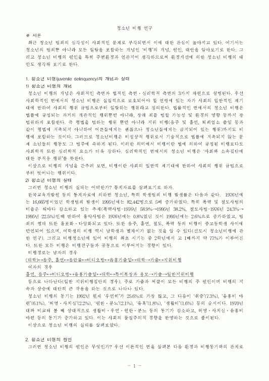 청소년비행 [사회복지]