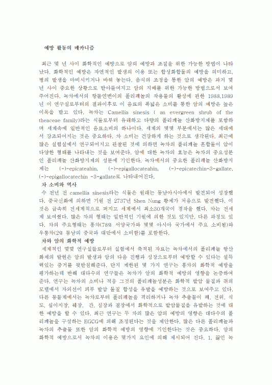 녹차의_활성의_화학적_예방_활동의_메카니즘