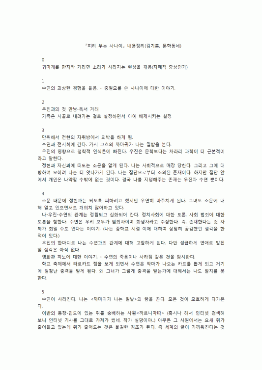 김기홍의 『피리 부는 사나이』내용 정리, 줄거리
