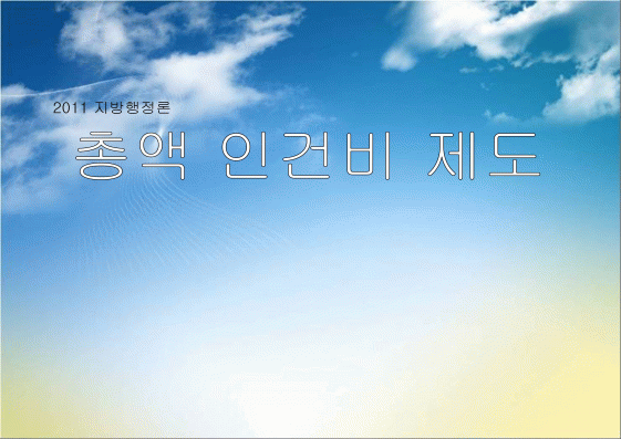 총액인건비제도PPT