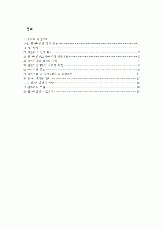원자력 발전정책
