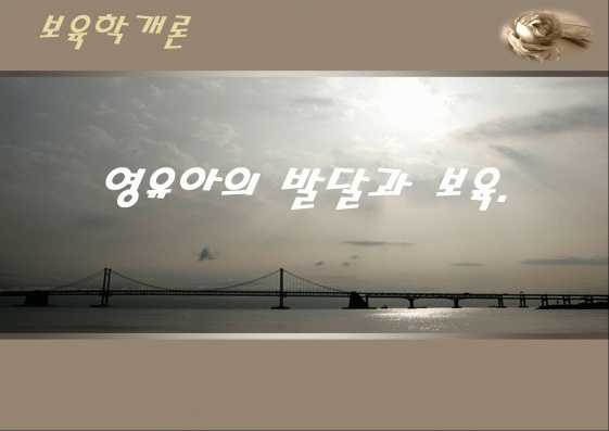 영유아의 발달과정(보육학개론)