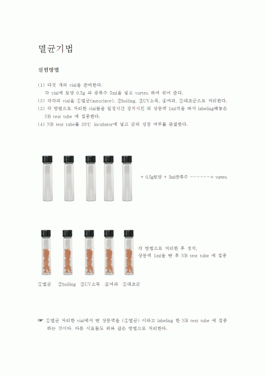 멸균기법 레포트