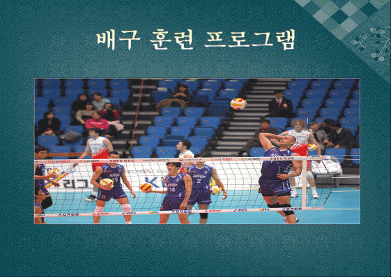 배구 훈련 프로그램