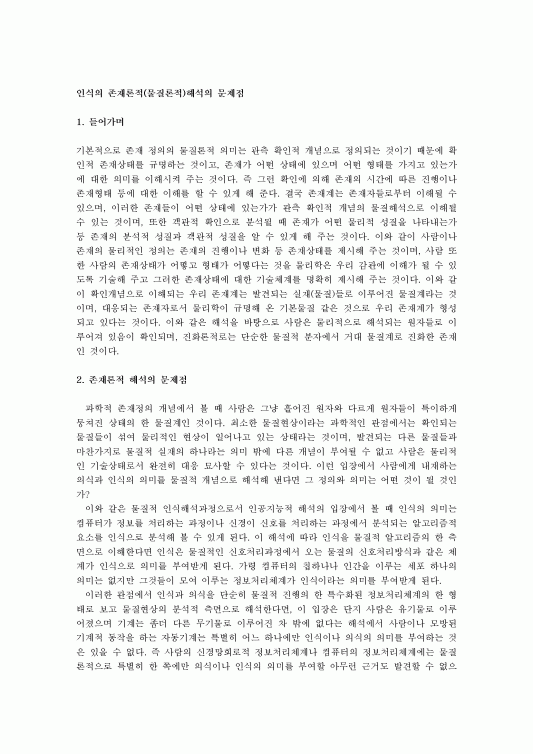 인식의 존재론적(물질론적)해석의 문제점