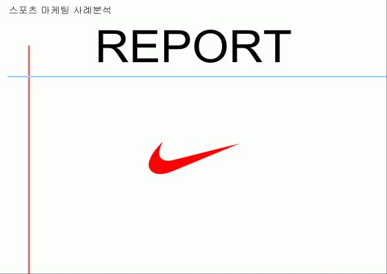 나이키의스포츠마케팅