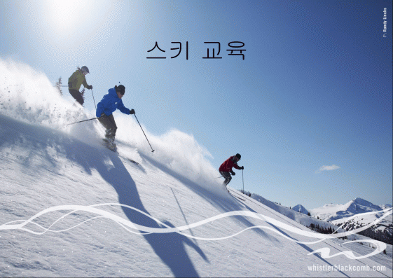 스키_교육 레포트 자료