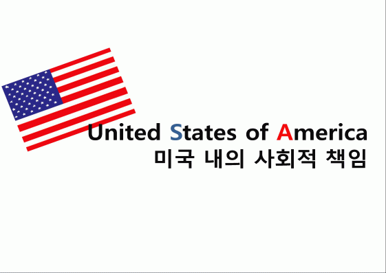미국내의 사회적 책임