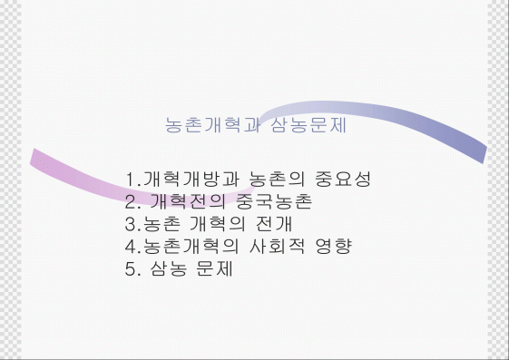 농촌개혁과 삼농문제