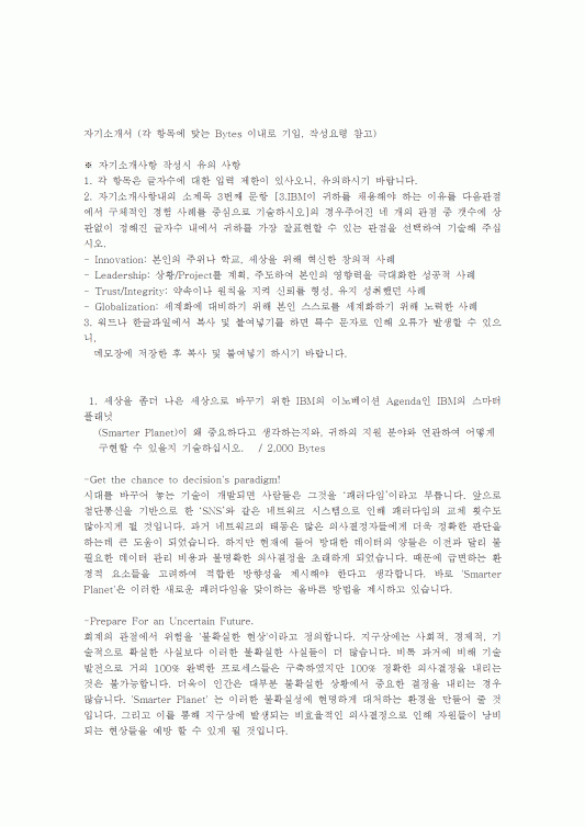 2010년도 하반기 IBM 합격자소서