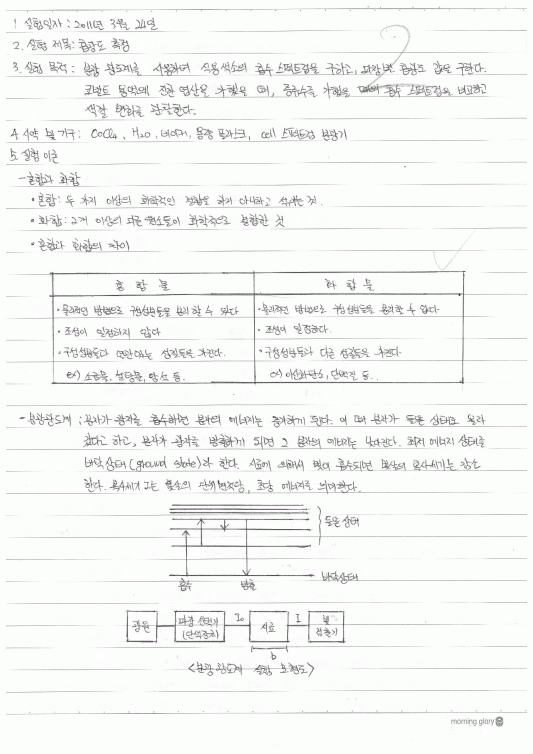 흡광도 측정 결과