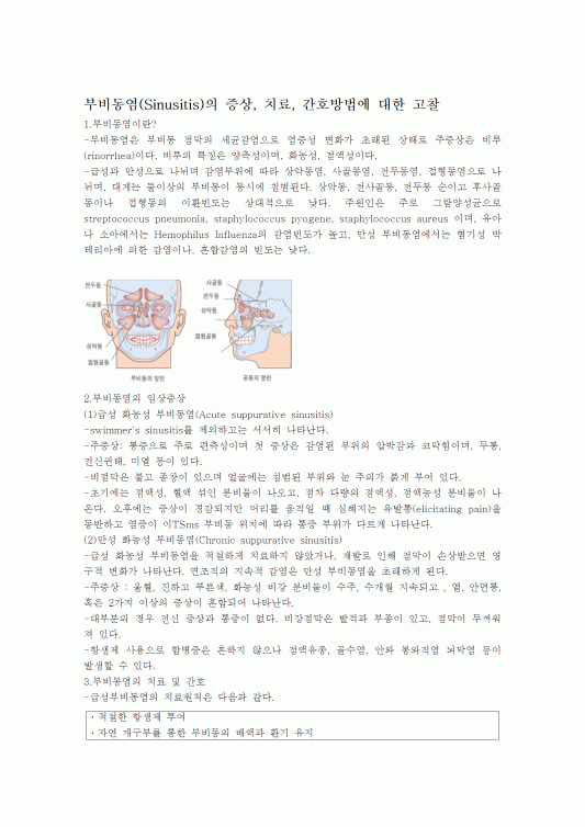 부비동염의 치료 및 간호와 임상증상