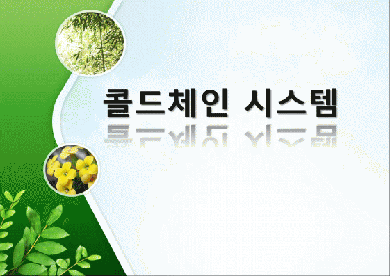 [경영] 콜드체인 시스템의 개념과 활성화 방안