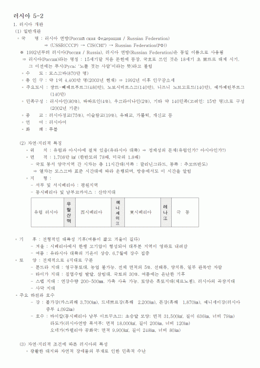 사이버러시아