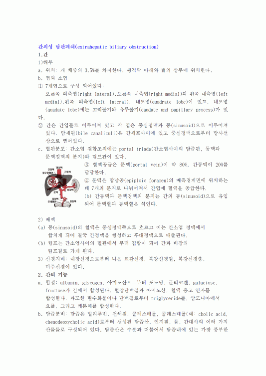간외성_담관폐쇄Aa