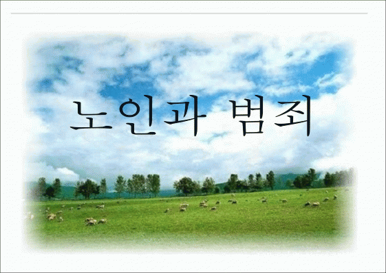 노인과_범죄2003