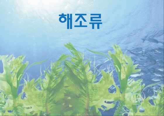 [호텔조리]재료학발표자료(해조류)