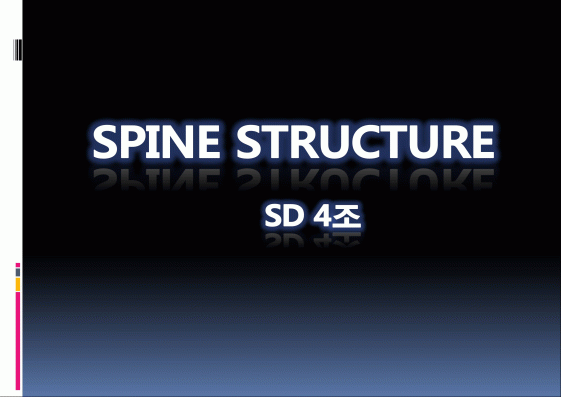 sd4조 spine structure