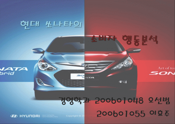 YF쏘나타의 소비자행동분석
