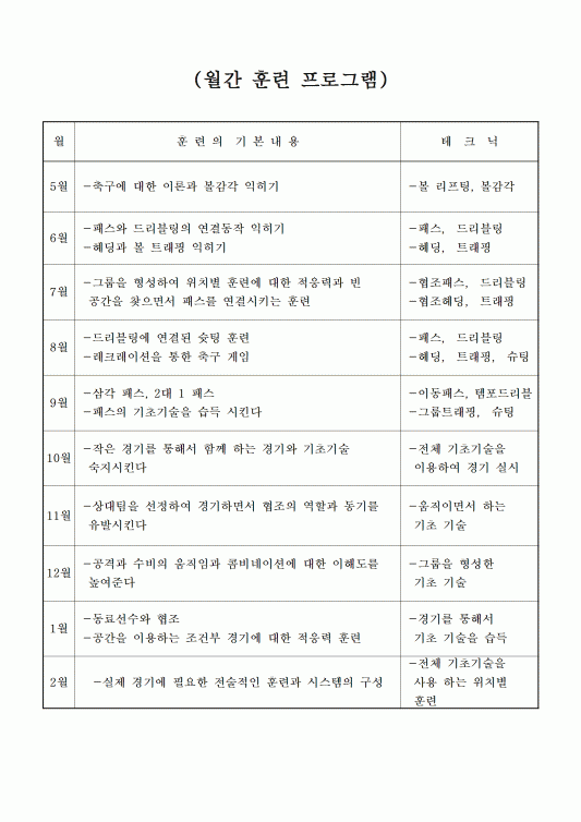 축구연간지도계획안-6page