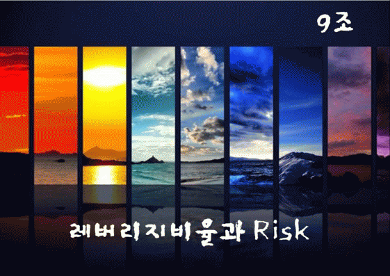 레버리지비율과 리스크