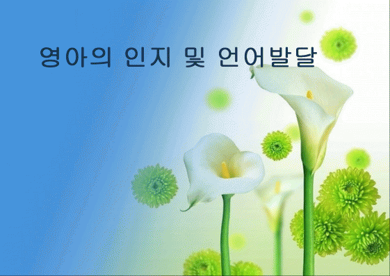 영아의 인지 및 언어발달