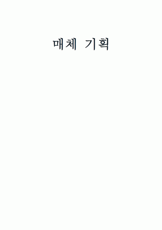 매체기획 방법