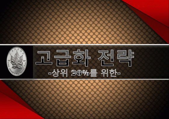 고급화전략 레포트 자료