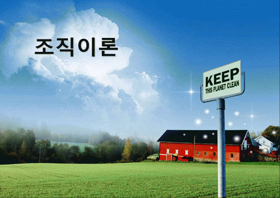 조직이론PPT 레포트 자료