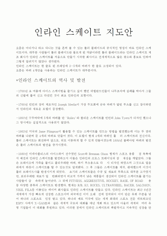 인라인 스케이트 지도안 연간계획안