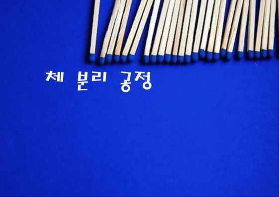 체 분리 공정1