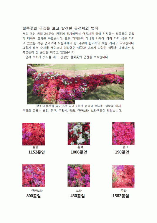철쭉꽃의 군집을 보고 발견한 유전학의 법칙